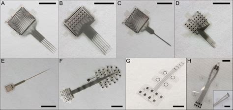 Photographs Of Polymer Microelectrode Arrays Manufactured By The Pie Download Scientific