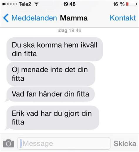 Svensk Flickvän Fitta