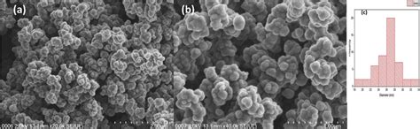 Fe Sem Micrograph Of Ppy Pei Nano Adsorbent At Different Magnifications