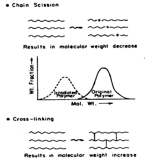 Schematic Illustration Of Chain Scission And Cross Linking And Their