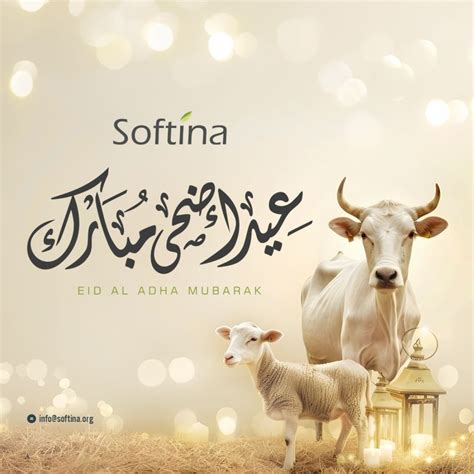 raed halawa posted on linkedin