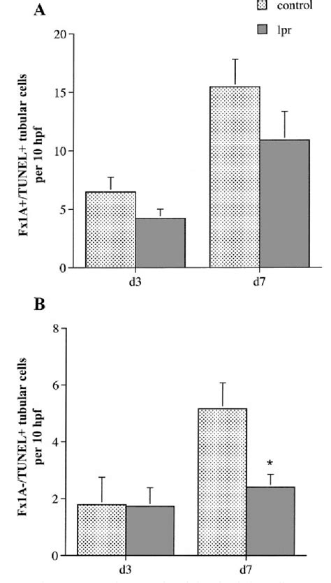 Figure 3 From Role Of Fas Cd95 In Tubulointerstitial Disease Induced By Unilateral Ureteric