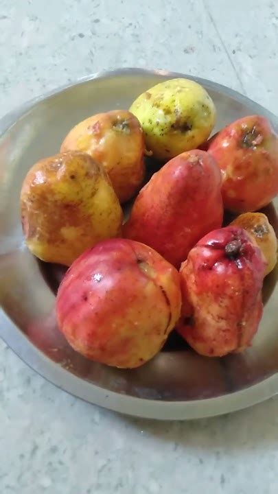 Yenaku Rombha Pudicha Munthiri Pazham Yarukellam Pudikumo Subscribe