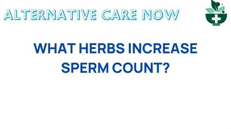 Unlocking Natures Secrets Which Herbs Can Boost Sperm Count