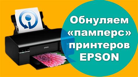Сброс обнуление памперса Epson.