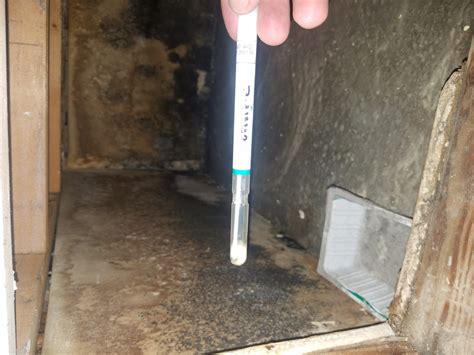 Innovative Technologies For Mold Detection And Remediation The Mold Facts