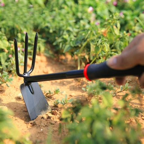 2 In 1 Garden Hoe Tool With Cultivator Rake 11 Long Handle Small Weed