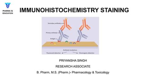 Immunohistochemistry Staining Techniques Pptx