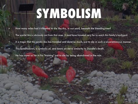 The Scarlet Ibis By Manasa M