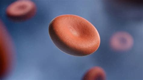 Targeted Drug Delivery Using Metabolically Tagged Platelets