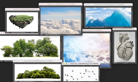 Exeedolip Xeedia On Behance