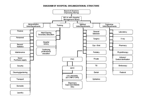 Hospital Organizational Structure Diagram Pdf