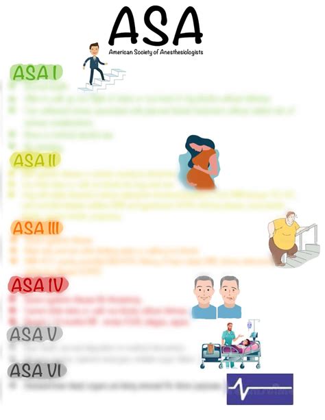 Asa Classifications Cheat Sheet Etsy