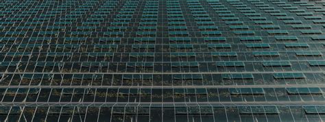 Our Data Advantage Pelorus Capital Group