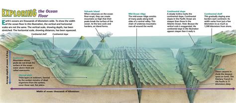 Sea Floor Diagram