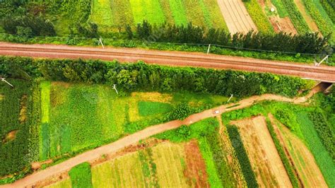 Field Fields Crops Railway Powerpoint Background For Free Download Slidesdocs