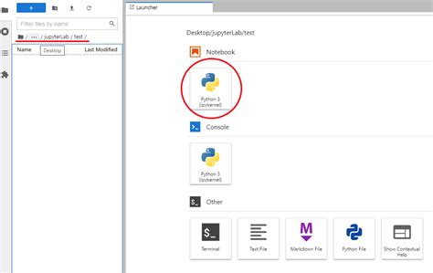 【python】jupyter Labインストール方法・簡単な使い方 Python Reeazy リィジィ