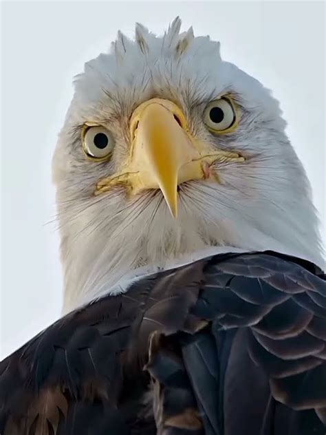 Wow Omg 😱 😰😰 Youtube