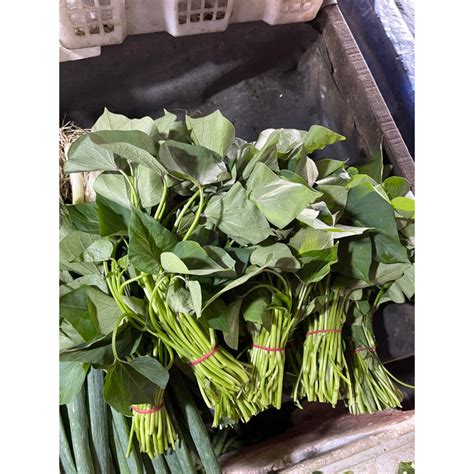 Jual Daun Ubi Shopee Indonesia