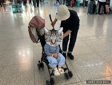 하와이 여행기 아이와 부모님과 떠난 하와이여행 1편 아이랑 하와이 부모님과 하와이 여행 네이버 블로그