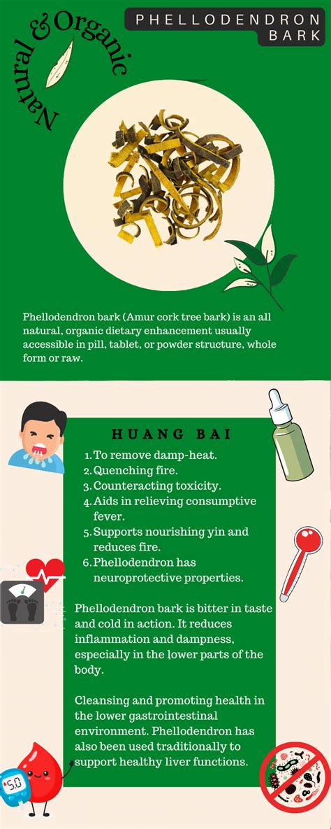 Phellodendron Bark 1st Chinese Herbs