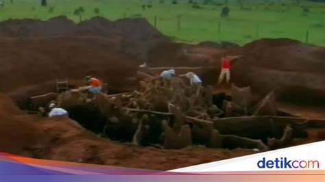 Sarang Semut Dihancurkan Ternyata Sembunyikan Kota Besar Di Bawah Tanah