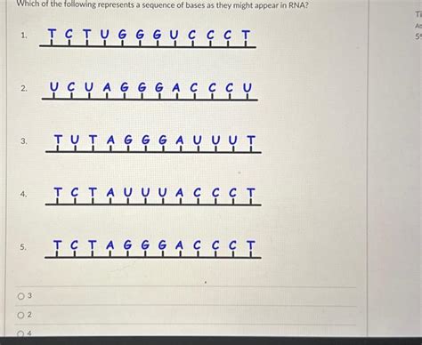 Solved Which Of The Following Represents A Sequence Of Bases Chegg