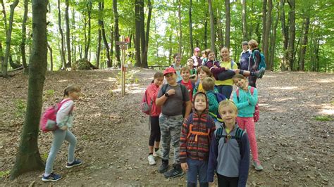 Debeli Hrib Gradišče Osnovna šola Miška Kranjca Ljubljana