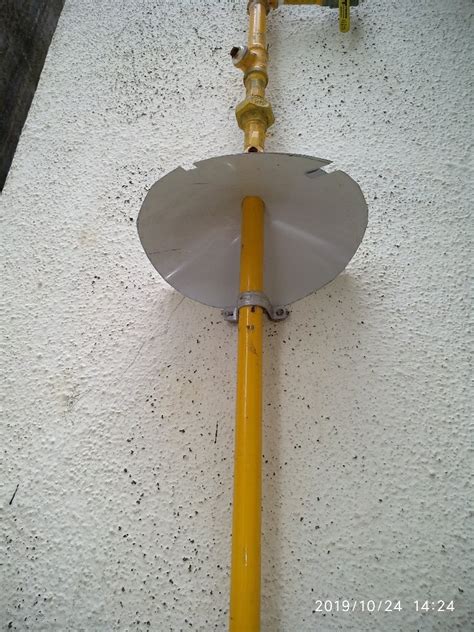 Rat Guard At Rs 160 Piece Bakul CHS Mumbai ID 9285589162