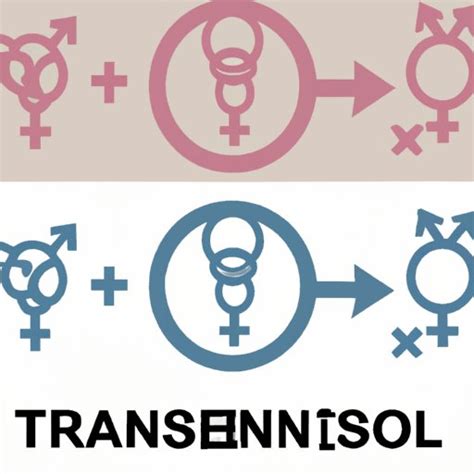 Understanding Transgender Exploring The Biological Social And Legal