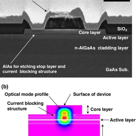 Color Online A Typical Sem Image Showing A Fabricated Hacl Download Scientific Diagram