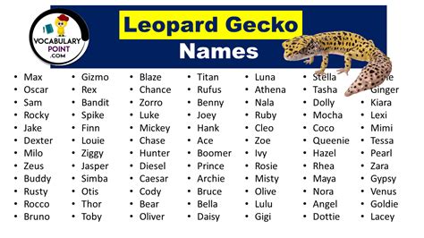 400 Creative Leopard Gecko Names Male Female And Funny Vocabulary Point