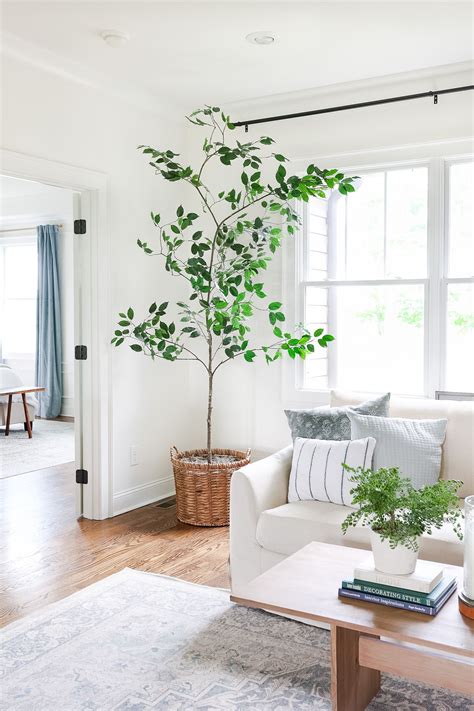 Create A Custom Beautiful Large Indoor Tree That Requires Zero Maintenance For Around 35