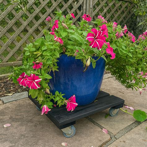 Heavy Duty Wooden Plant Pot Trolley Stand With Swivel Wheel Black