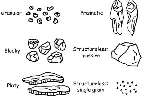 Soil Structures