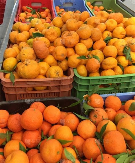 橙子桔子盒子清新背景分离食品橙色熟的成分甜点心