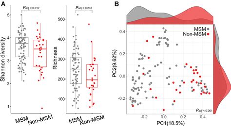 Establishment Of A Non Westernized Gut Microbiota In Men Who Have Sex
