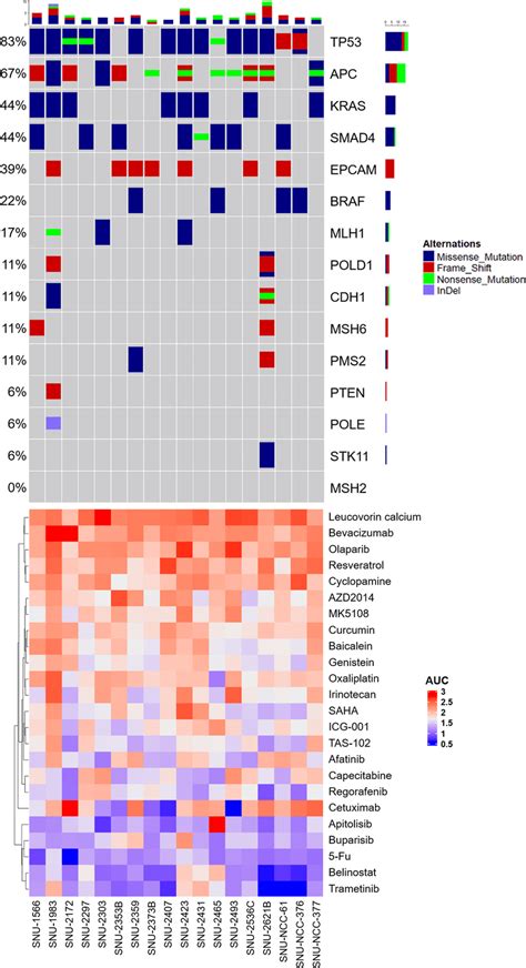 Heat Map Pattern Of Auc For Anticancer Drug Response Of 18 Crc Cell