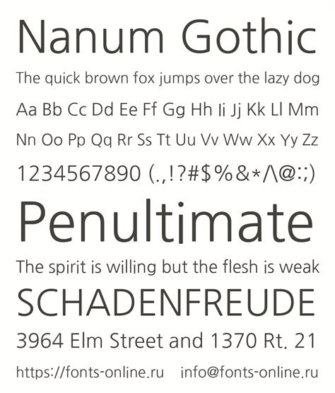 Nanum Gothic Font