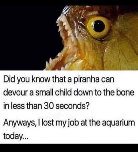 The Latest Memes Memedroid