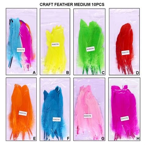 Pink Craft Feather Medium 10pcs At Best Price In Mumbai Id 2851636128173