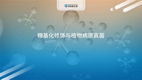 药物靶点发现研究 基于化学蛋白质组新方法Lip MS