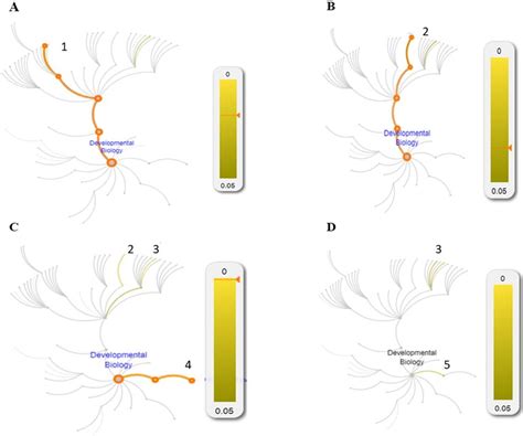 Reactome Pathways Associated With Development Biology In Ad Patients