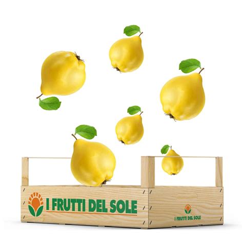 Cassetta Di Mele Cotogne Bio Vendita Online
