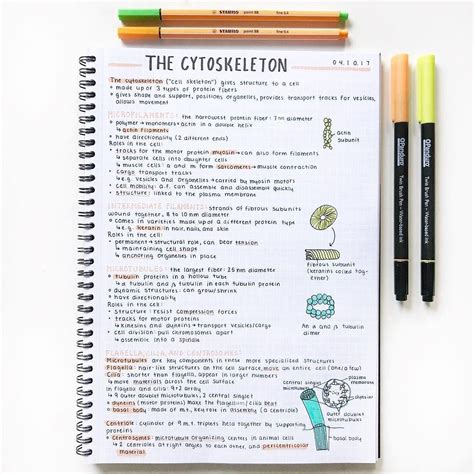 How To Write Perfect Biology Notes For Neet Class 11 Class 12 And Upsc