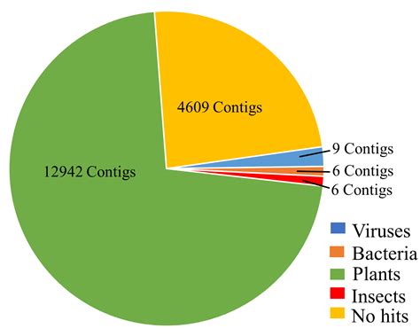 First Report Of Begomoviruses Infecting Cucumis Sativus L In North