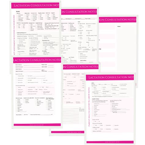 Customizable Lactation Consult Intake Form For Ibclc And Clc