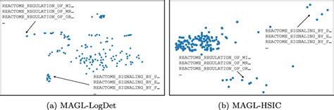 Visualization Of Projection Matrix On Aml Dataset Download Scientific Diagram