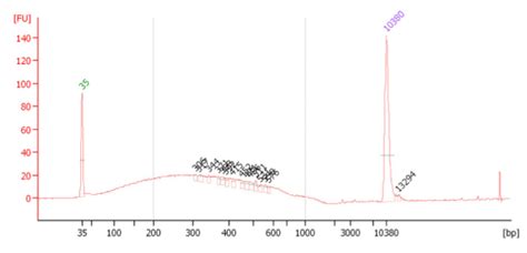 Bioanalyzer Electropherogram Of A Dna Sample Sheared By Sonication Download Scientific