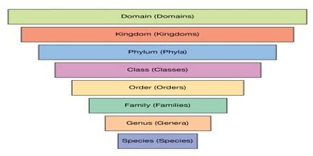 Taxonomy Assignment Point